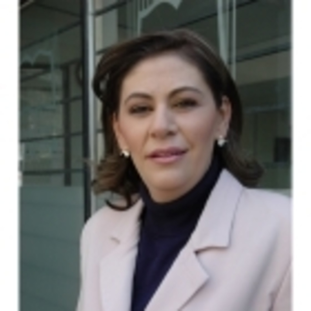 EDNA HERNANDEZ - SOCIO - CONSULTORIA Y CAPACITACION SAENZ Y HERNANDEZ ...