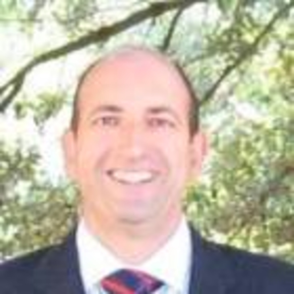 Albert Castro Domenech - Director - Circulo Inmobiliario Meridiana | XING