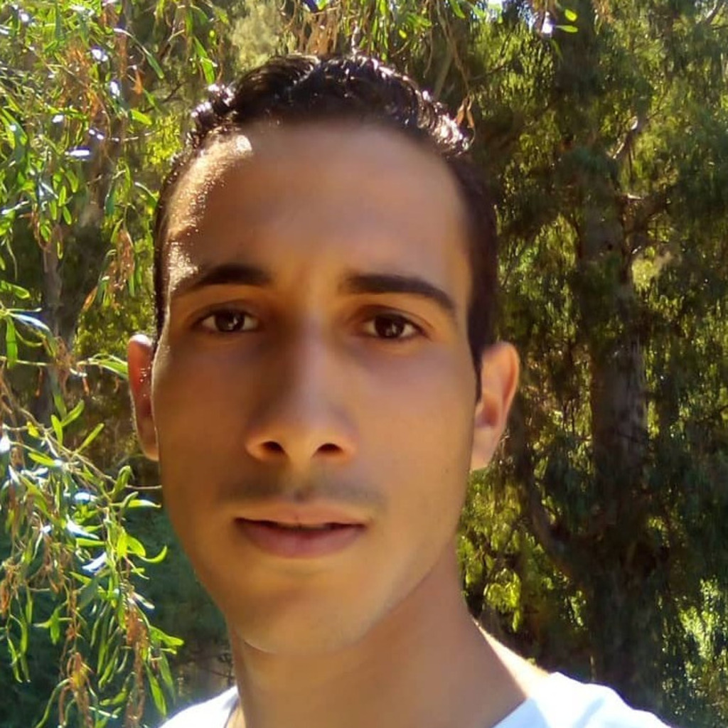 louay amri - Electromécanicien - bosch | XING