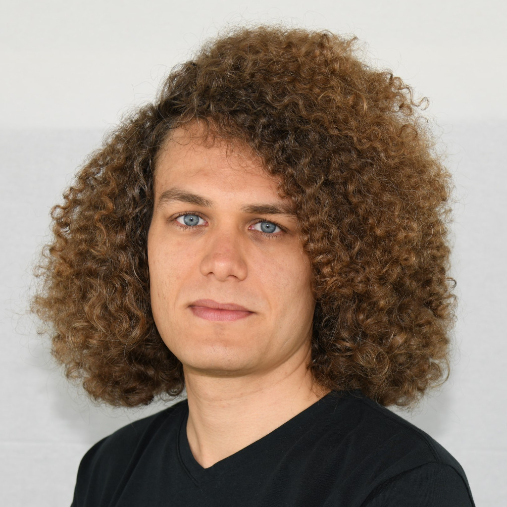 Michael Kopp - Senior Software Developer - Bauknecht Softfolio.pps GmbH ...