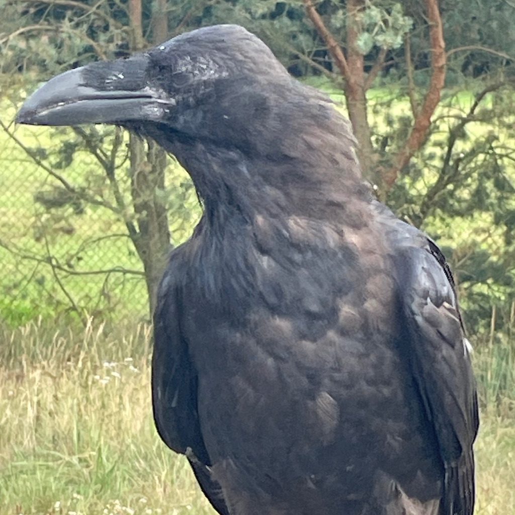 Specktrum Jo - Medienkaufmann Digital und Print - xxxxx | XING