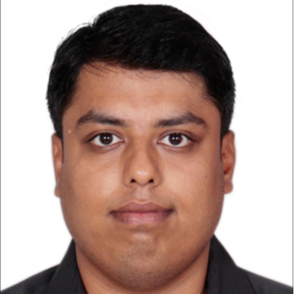Aditya Gupta - Senior Application Consultant - Hays Professional ...