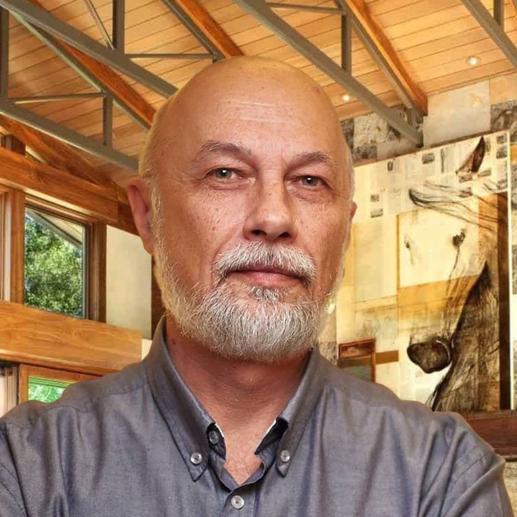 Alex Tur - Chief Technology Officer (CTO) - Digital Invest Inc. | XING