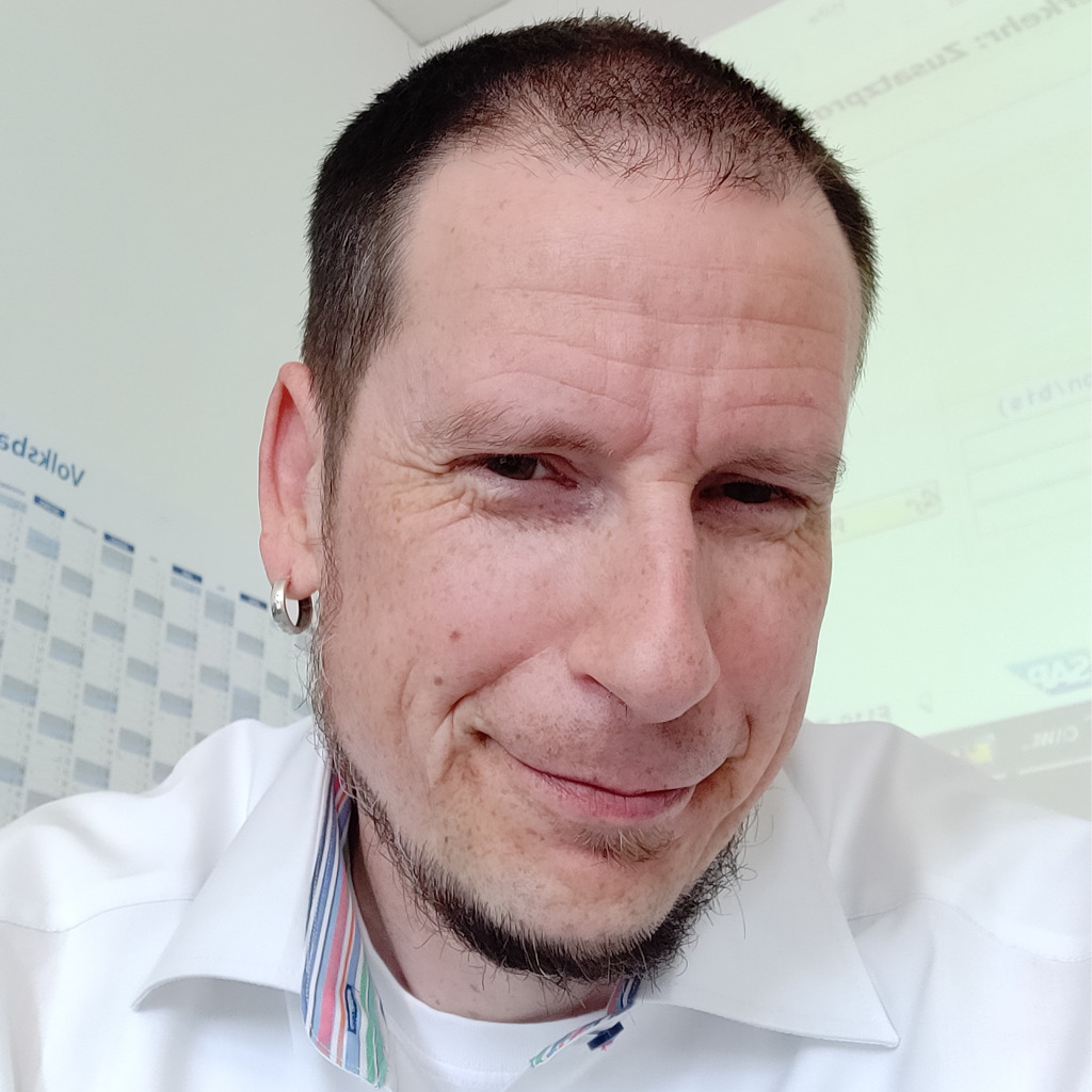 Michael Hübner - SAP-Trainer / -Dozent - Michael Hübner | XING