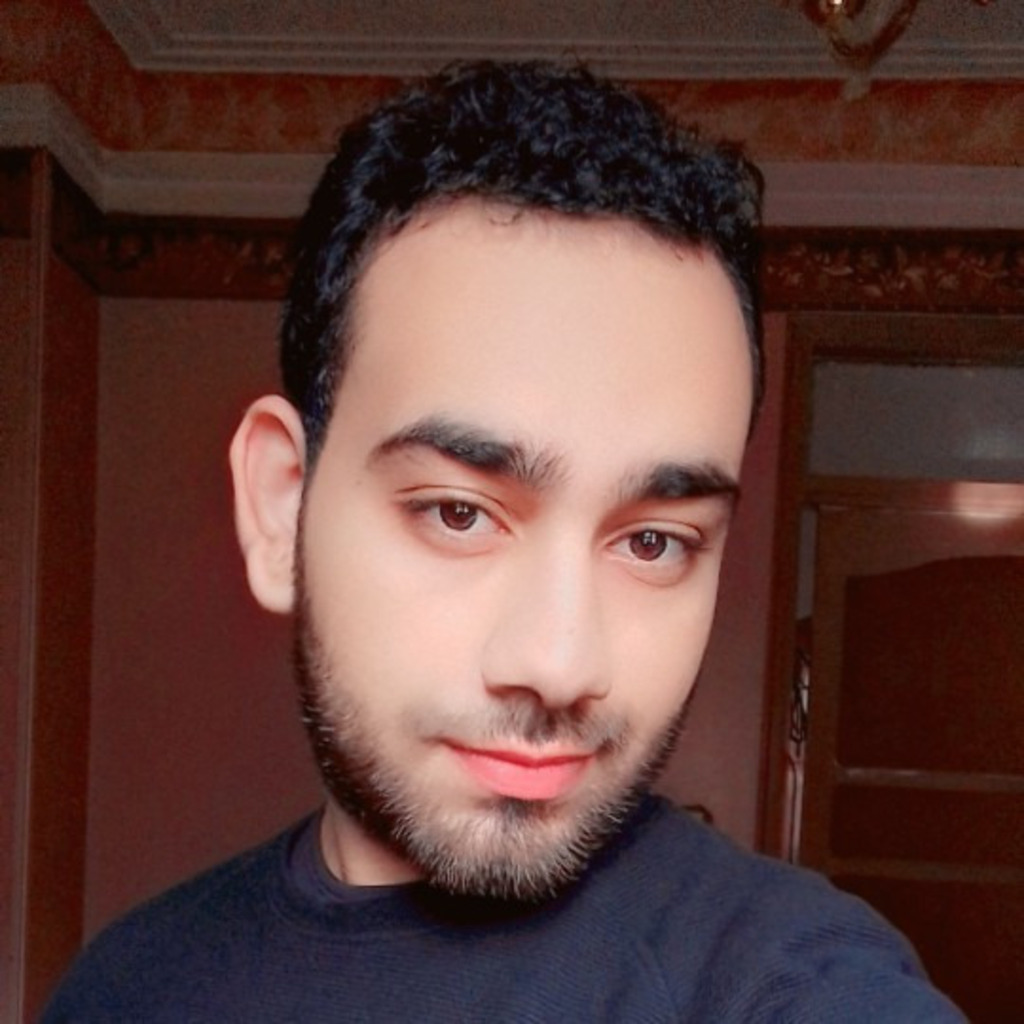 Mohamed Hamouda - UX/UI Designer - Mohamed | XING