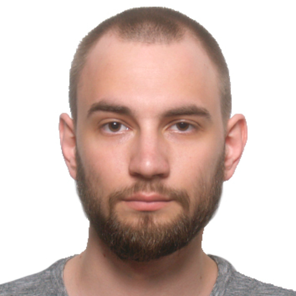 Dmytro Robota - Senior Fullstack Developer - Varteq Inc. | XING