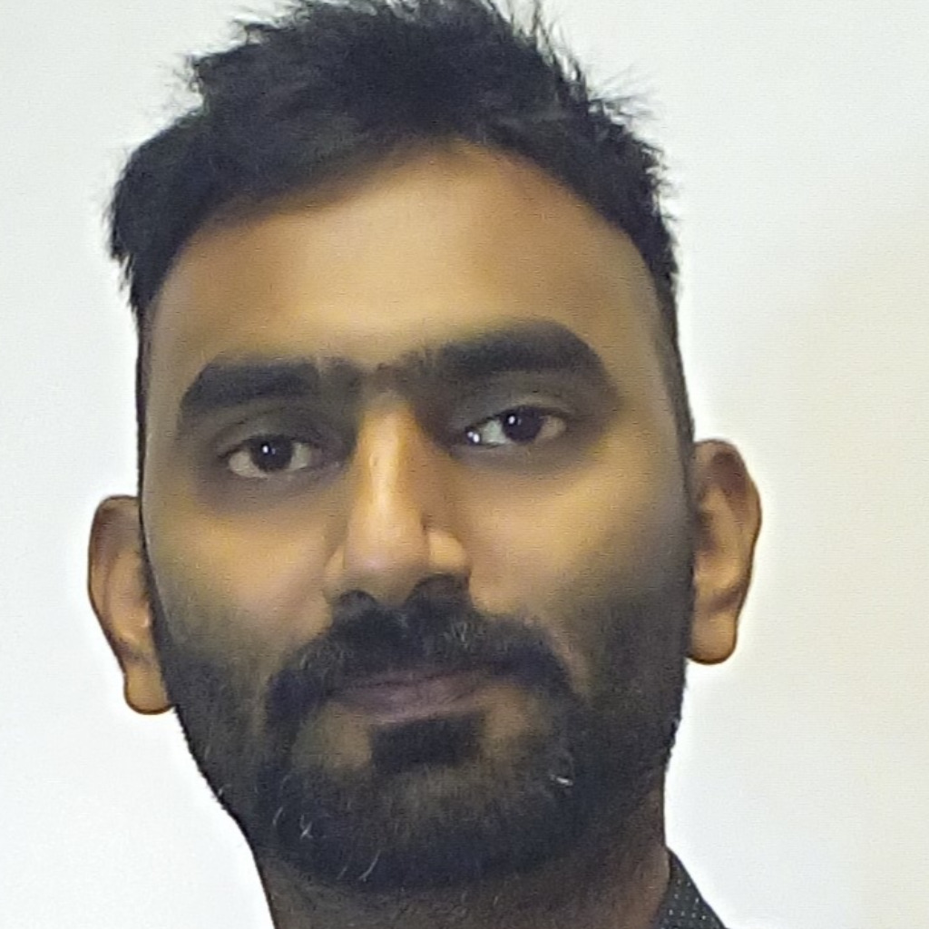 Naveen Balaji - Functional Consultant - TCS - Tata Consultancy Services ...