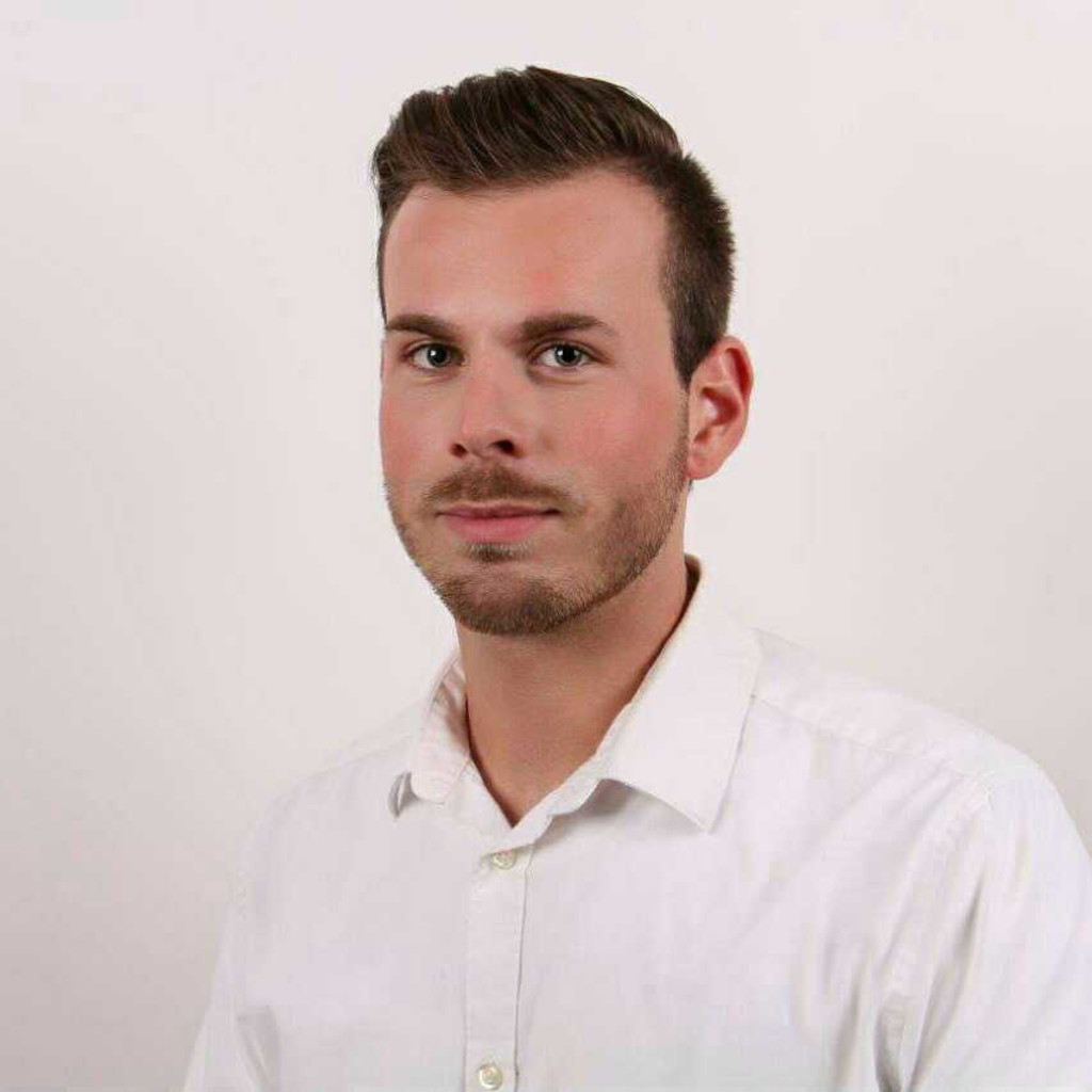 Dominik Roth - Stellvertretender Leiter Informationstechnologie - KRAFT ...