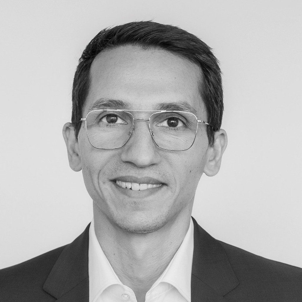 Alexander P. Theodoridis - Partner - e.venture consulting GmbH | XING