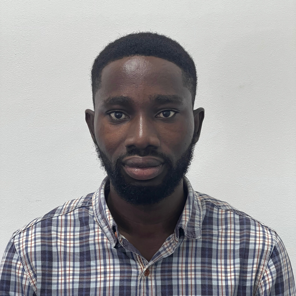 Prince Asare - Microsoft Dynamics NAV Developer - AO Holdings | XING