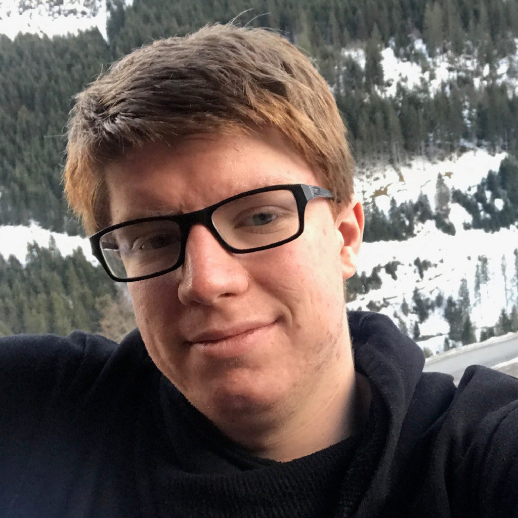 Dominik Malsch - Senior Backend Developer - doinstruct | XING