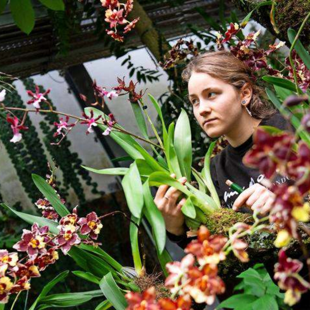Anna Bech - Biologie - Martin-Luther-Universität Halle-Wittenberg | XING