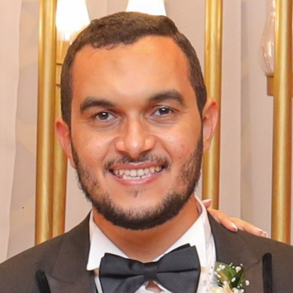 Alaa Hamed - Senior Frontend Developer (Vue , Nuxt) - Kaufland e ...