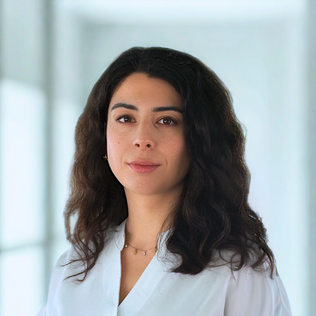 Yasar Yasam Akin - Architect / BIM Coordinator - Heinle Elektroanlagen ...