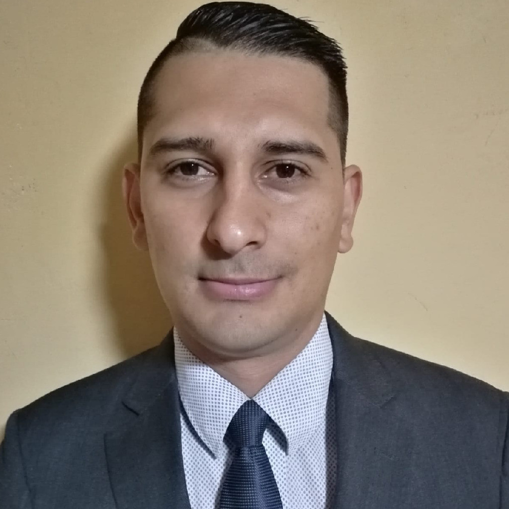 Dipl.-Ing. Jorge Webb - Data Analyst - Stein.Corp | XING