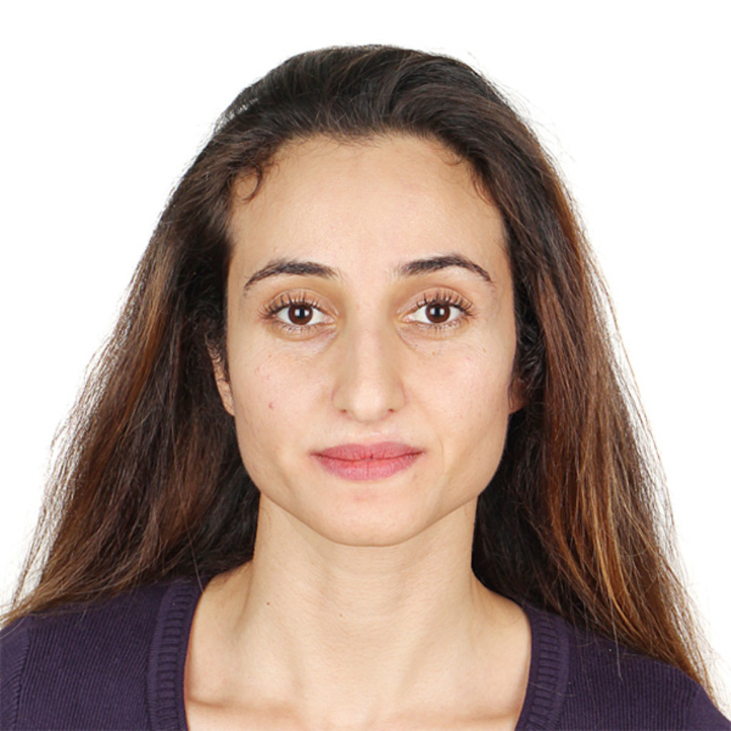 Ameni Abdellaoui - Python Developer - Veolia France | XING