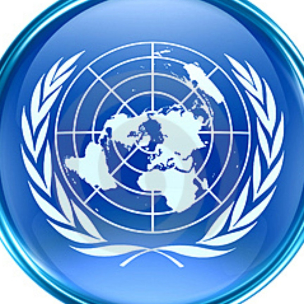 Said Moussa - Account Coordinator - Higher Social work Institute | XING