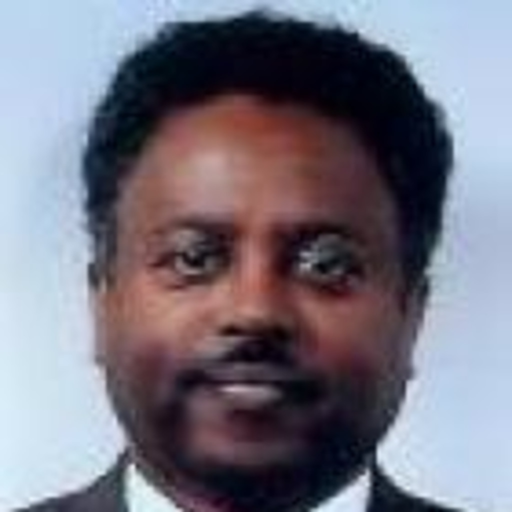 Berhe Tesfay - Sistemista windows rete - Quion | XING