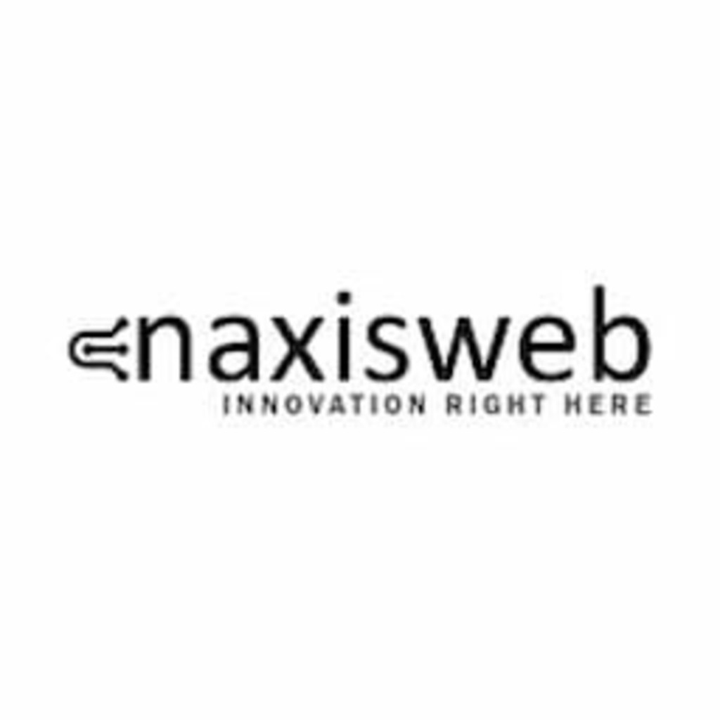 Naxis Web - Founder - Naxisweb | XING