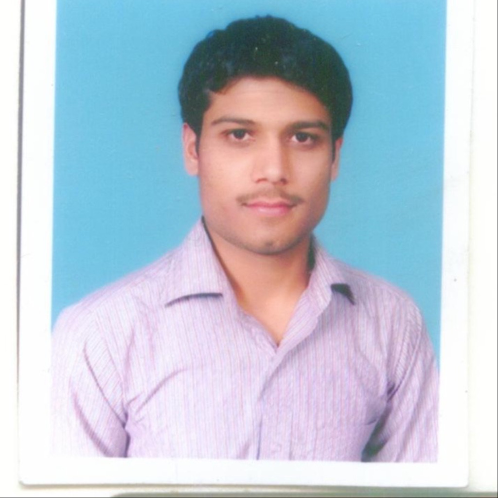 faisal goraya - Software Developer - Meshsoft LLC | XING