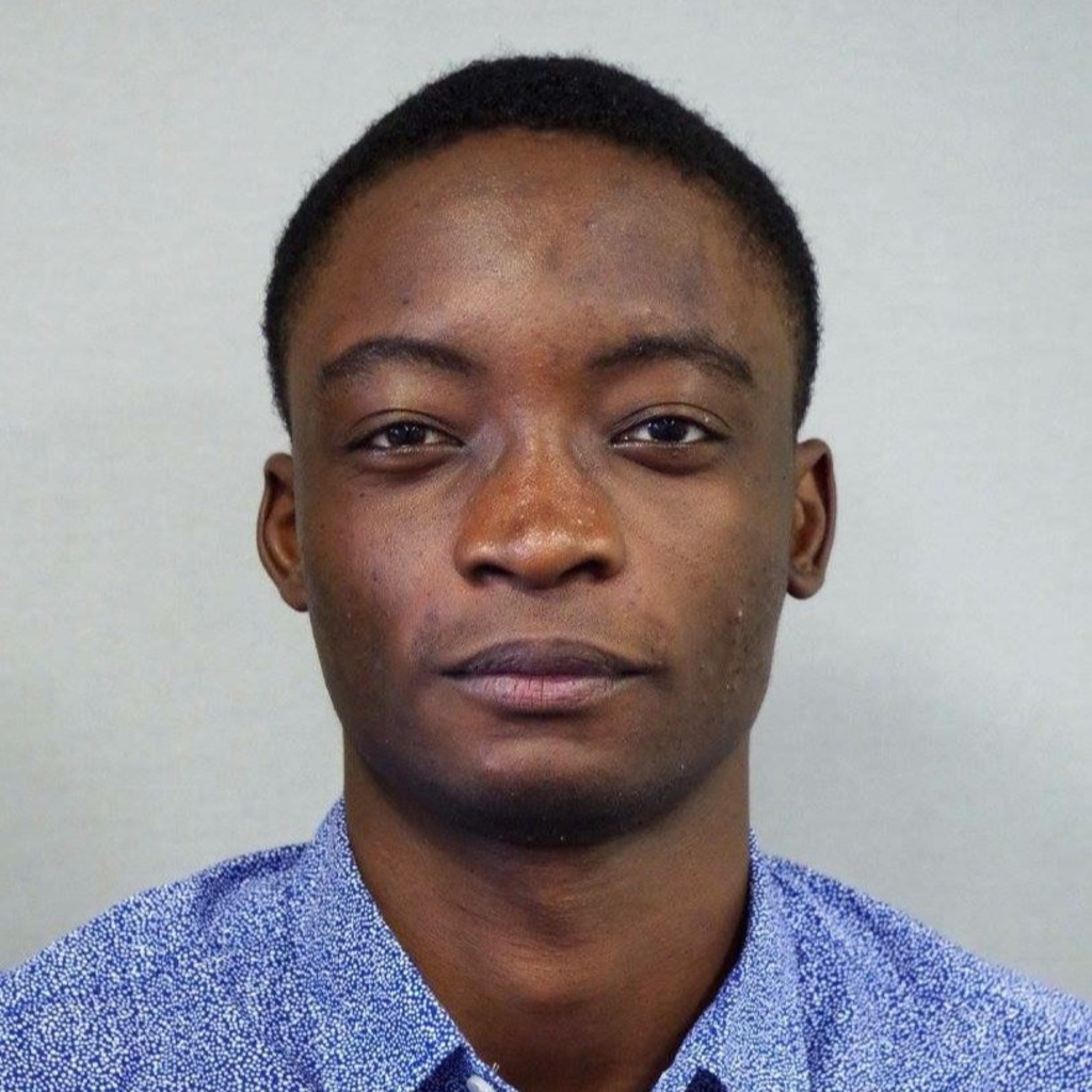 Opeyemi Ojo - Procurement Consultant and CIPS Tutor - Efficiency ...