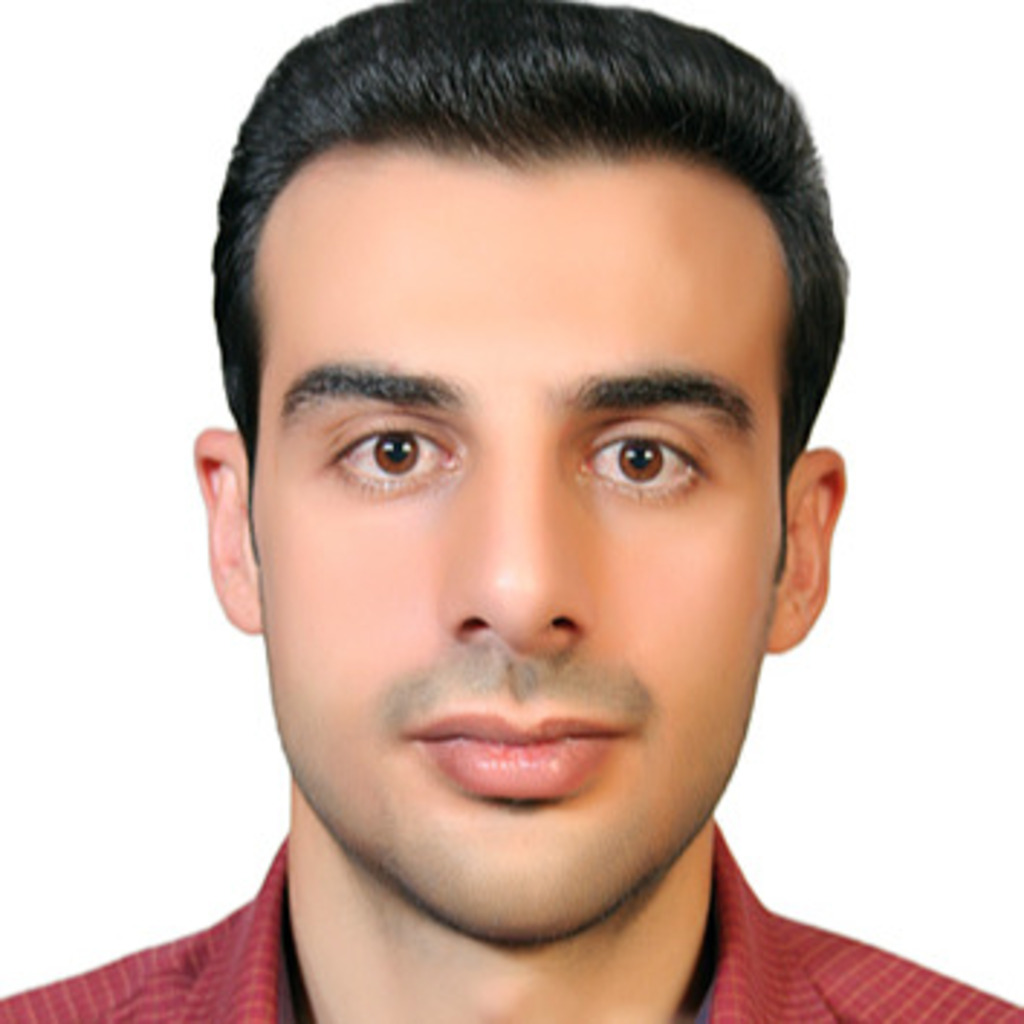 Farzad Heydaridehkordi - Data Analyst - HOPP marktforschung | XING