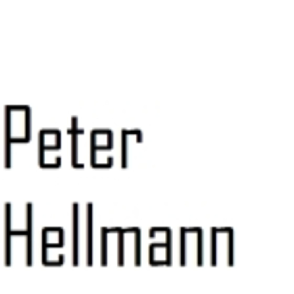 Peter Hellmann - Abteilungsleiter - RSC | XING