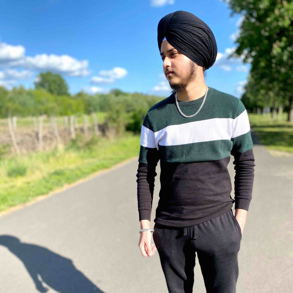 Harshdeep Singh - business administration - Berlin School of business & innovation | XING