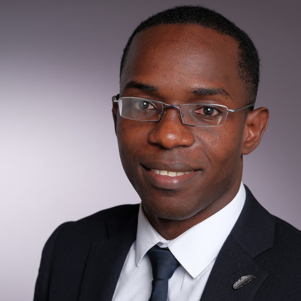 Alimou DIALLO - Consultant Bankaufsichtsrecht prüfungsnahe Beratung - Financial Services - EY ...