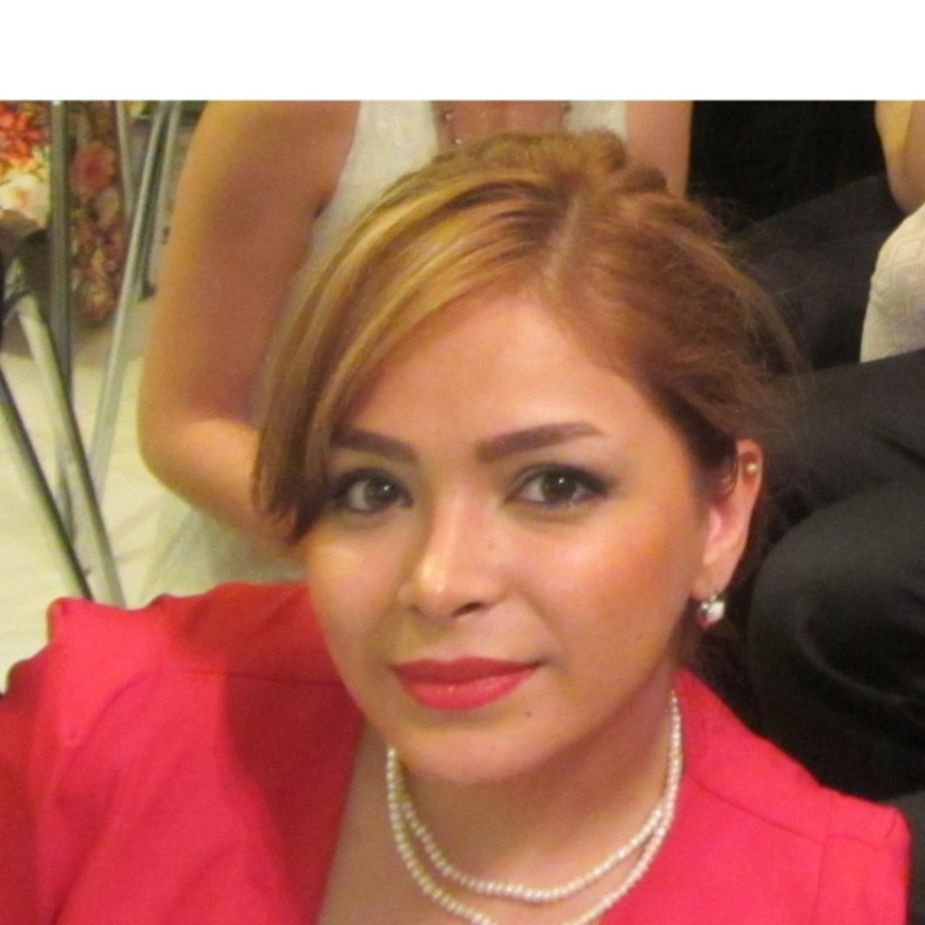Sahar Heydari - expert support - it | XING