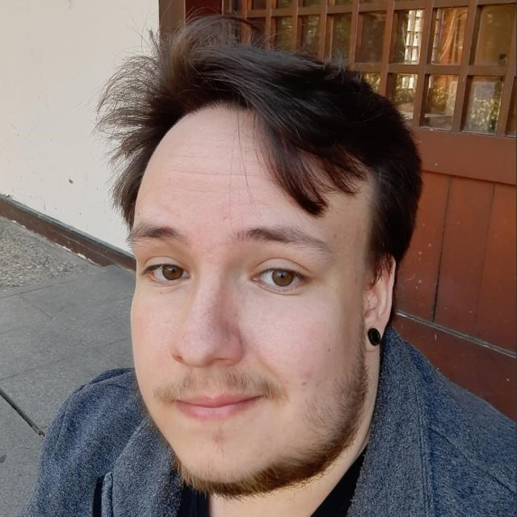 Niklas Kokoschka - Fullstack Developer - Trotec GmbH | XING