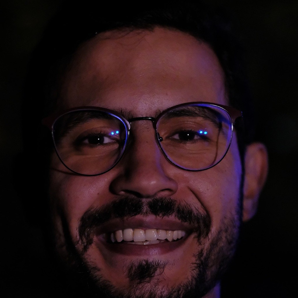 Mohamed Hassan - Consultant - Winprovit | XING