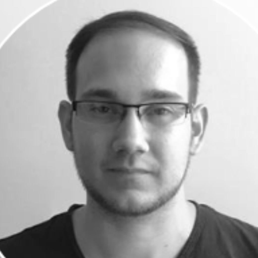 Patrick Springer - Depotleiter - Sänger Logistik GmbH Wismar | XING