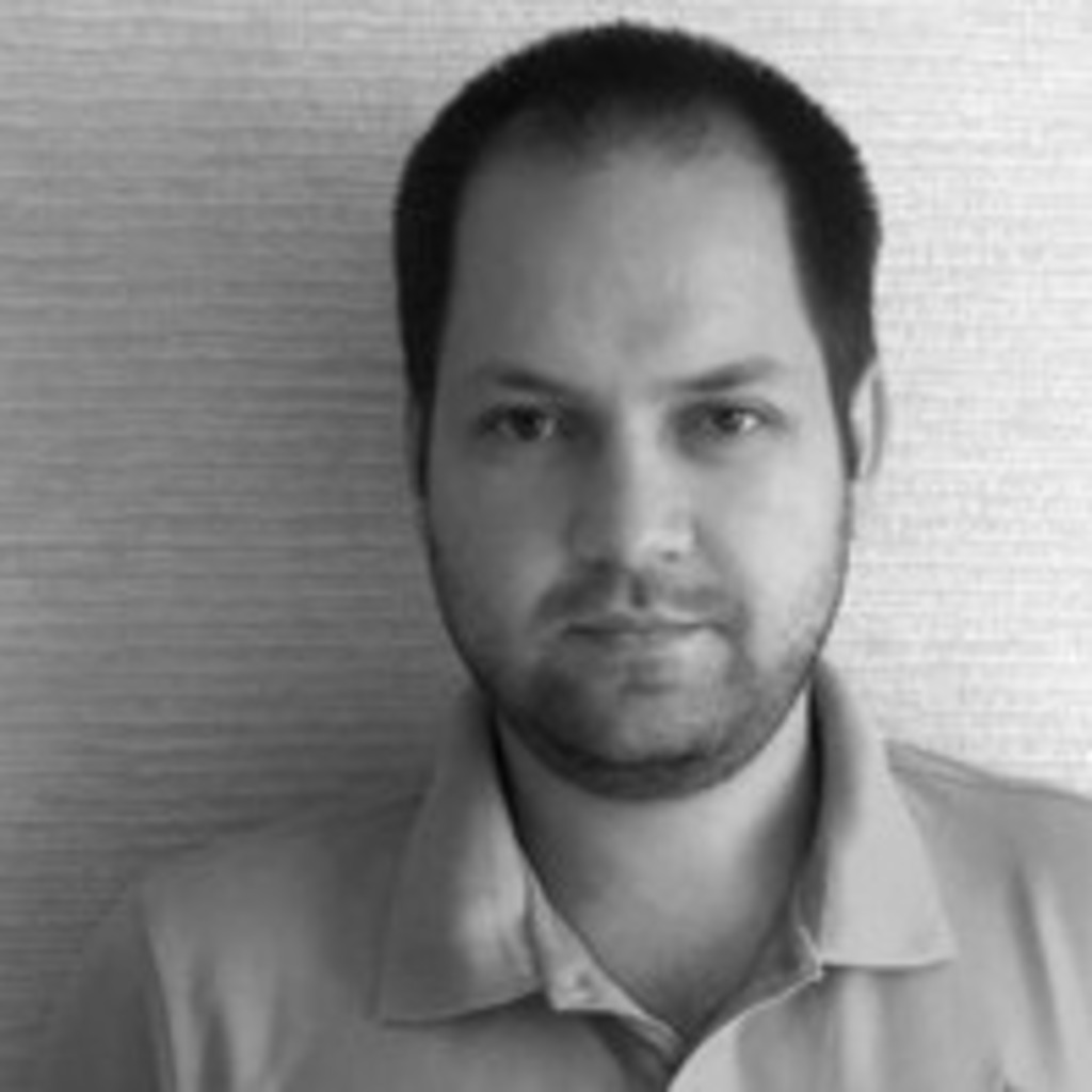 Mikhail Moshnogorskiy - Software Developer - vidaselect | XING