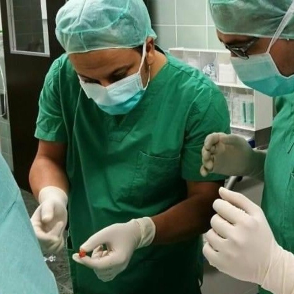 Dr. Ramez Ibrahim - Oberarzt - Lungenklinik Neustadt | XING