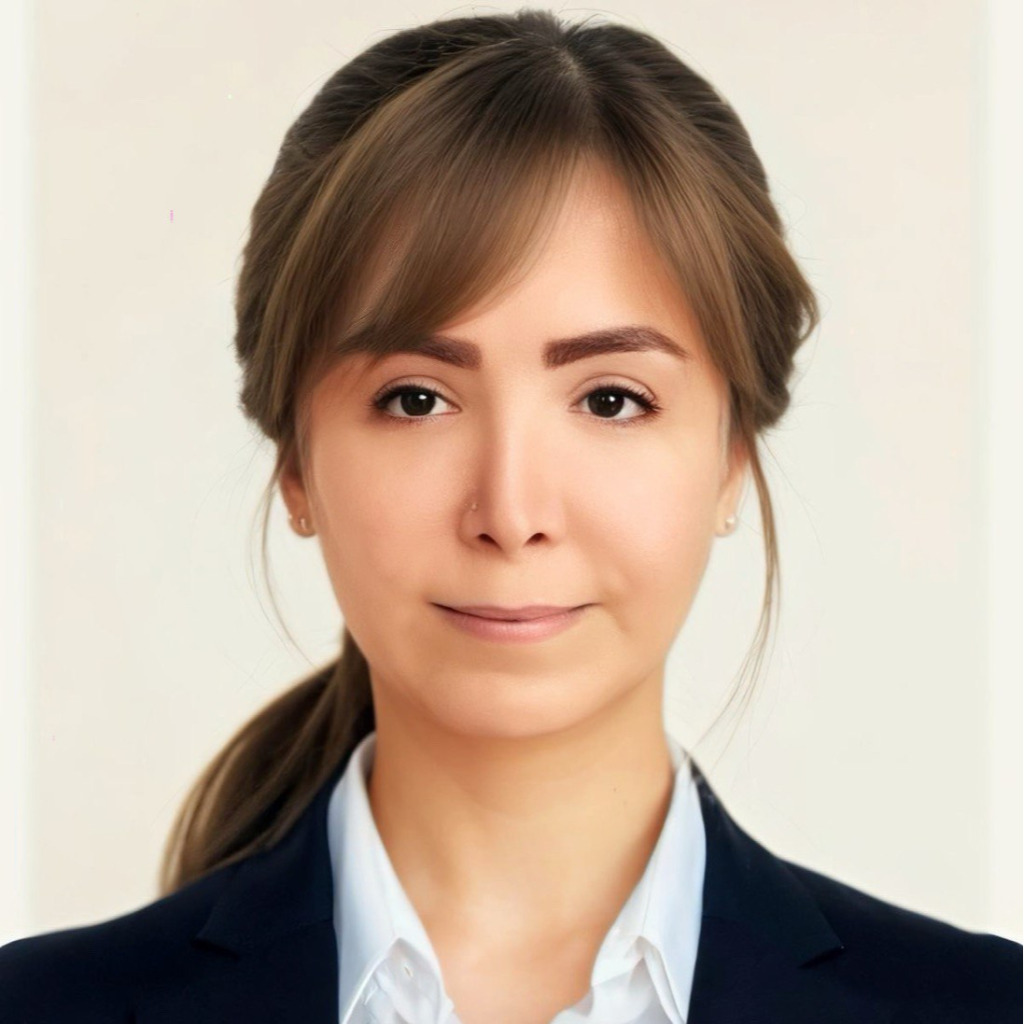 Shadi Emami Zadeh - IT Support Specialist - Pars Online Group/ Negin ...