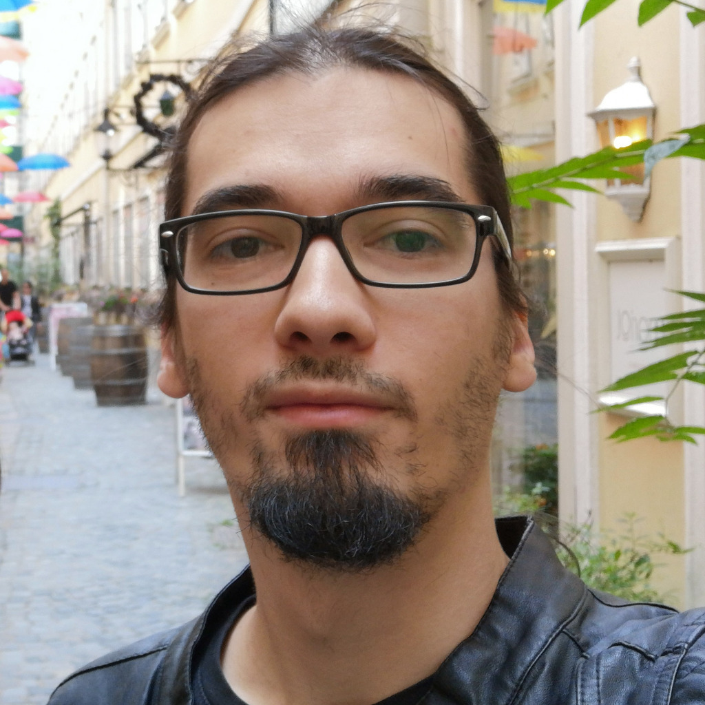 Dragos Barbu - Senior Software Engineer - Tricentis | XING