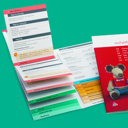 Heidi Haas - Geschäftsführerin - notfallTrading schweiz GmbH | XING