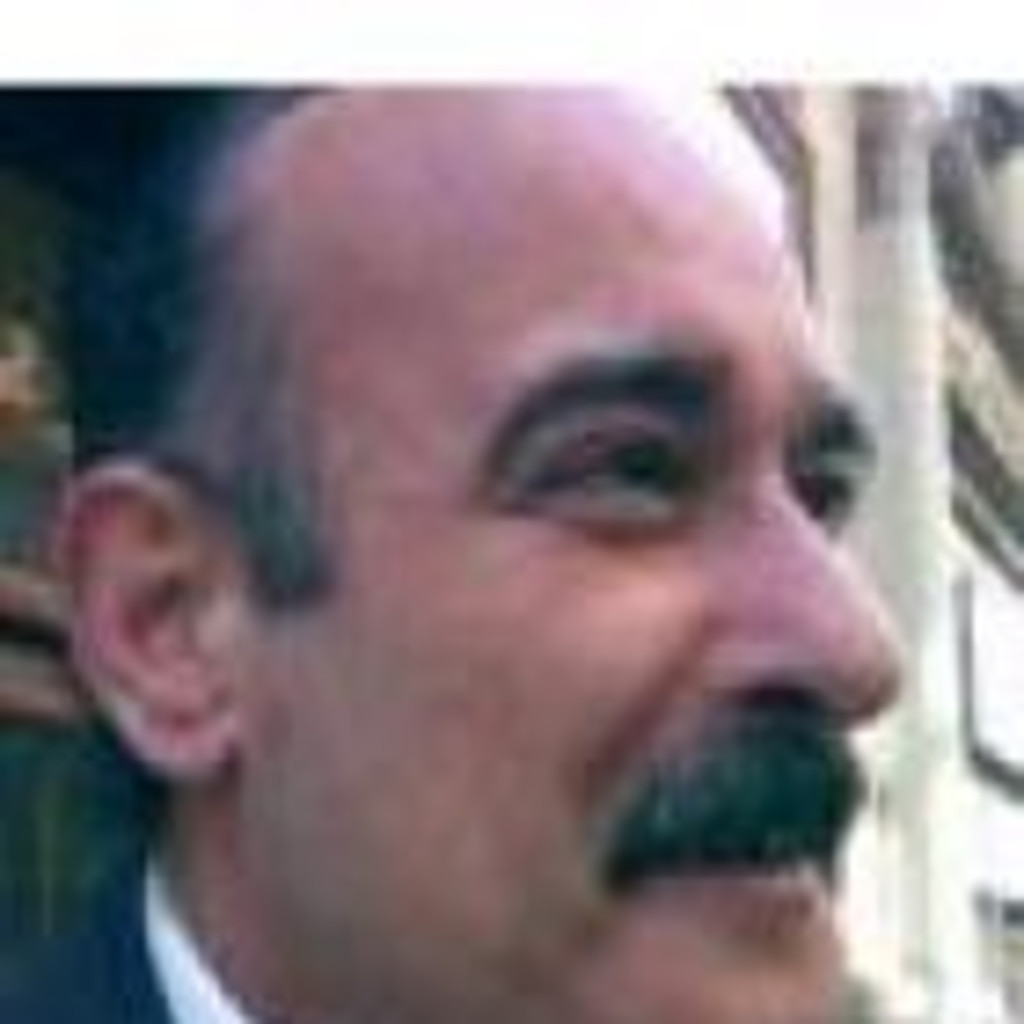 Ramón Carrión Bou - European Logistics Manager - Metro International | XING