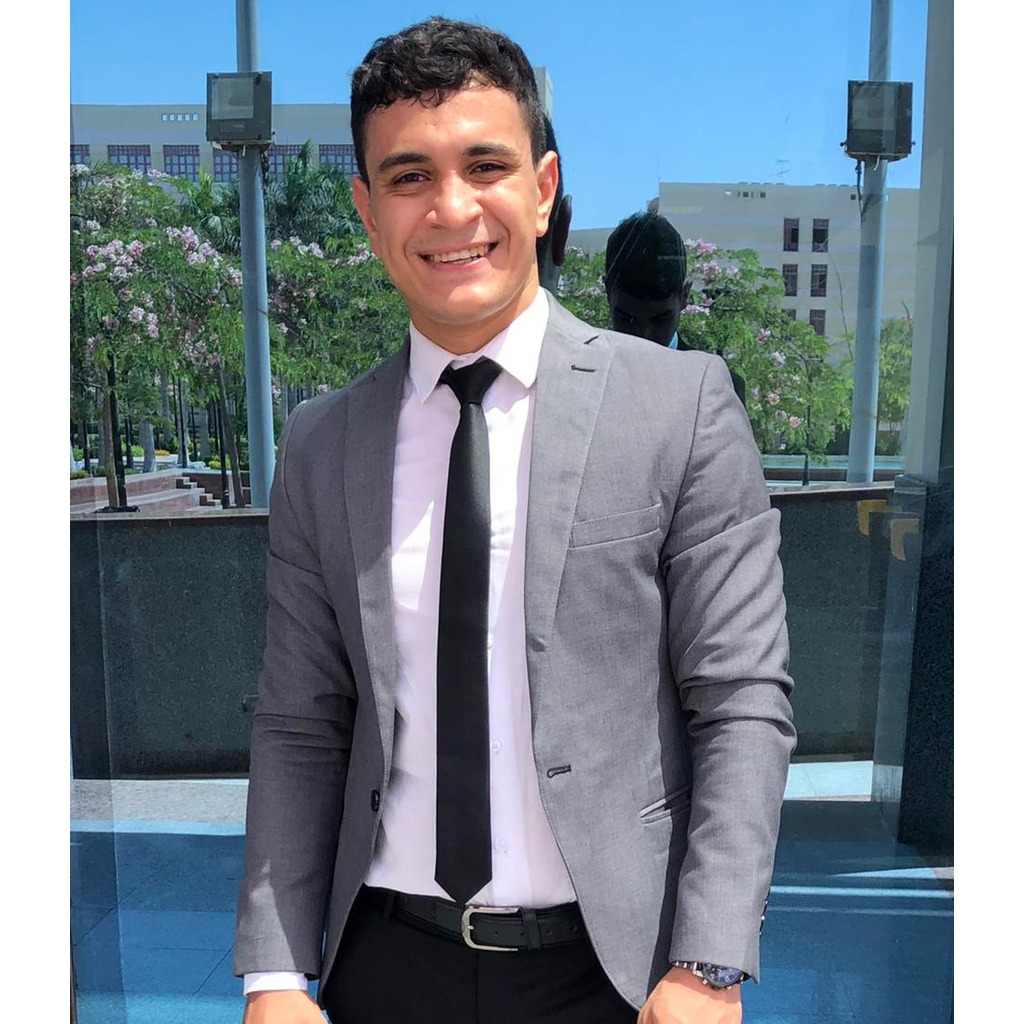 Amir Elfiky - Elektroengineer - Telecom Egypt | XING