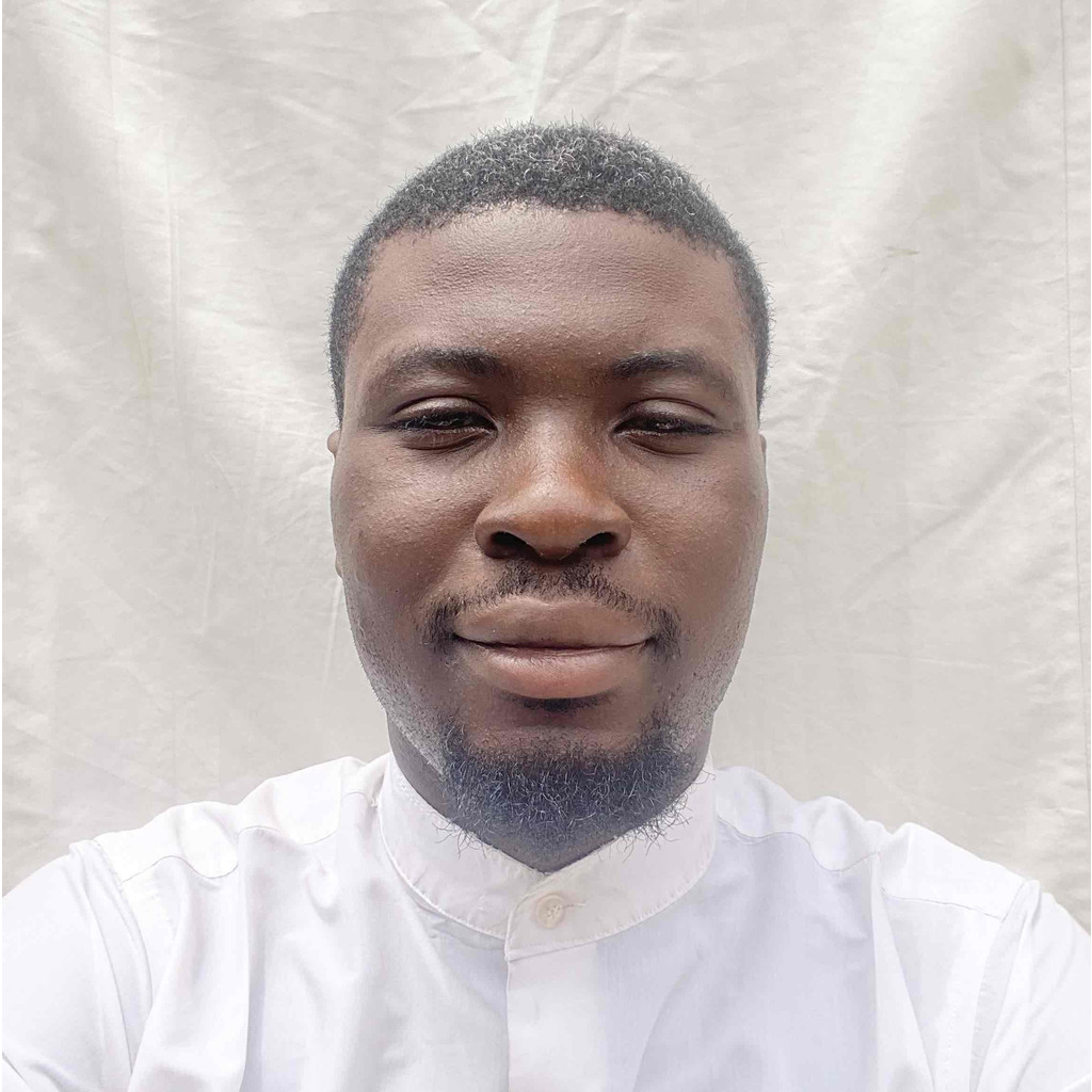 Woye Charles - I.T consultant - Thesharepage.com | XING