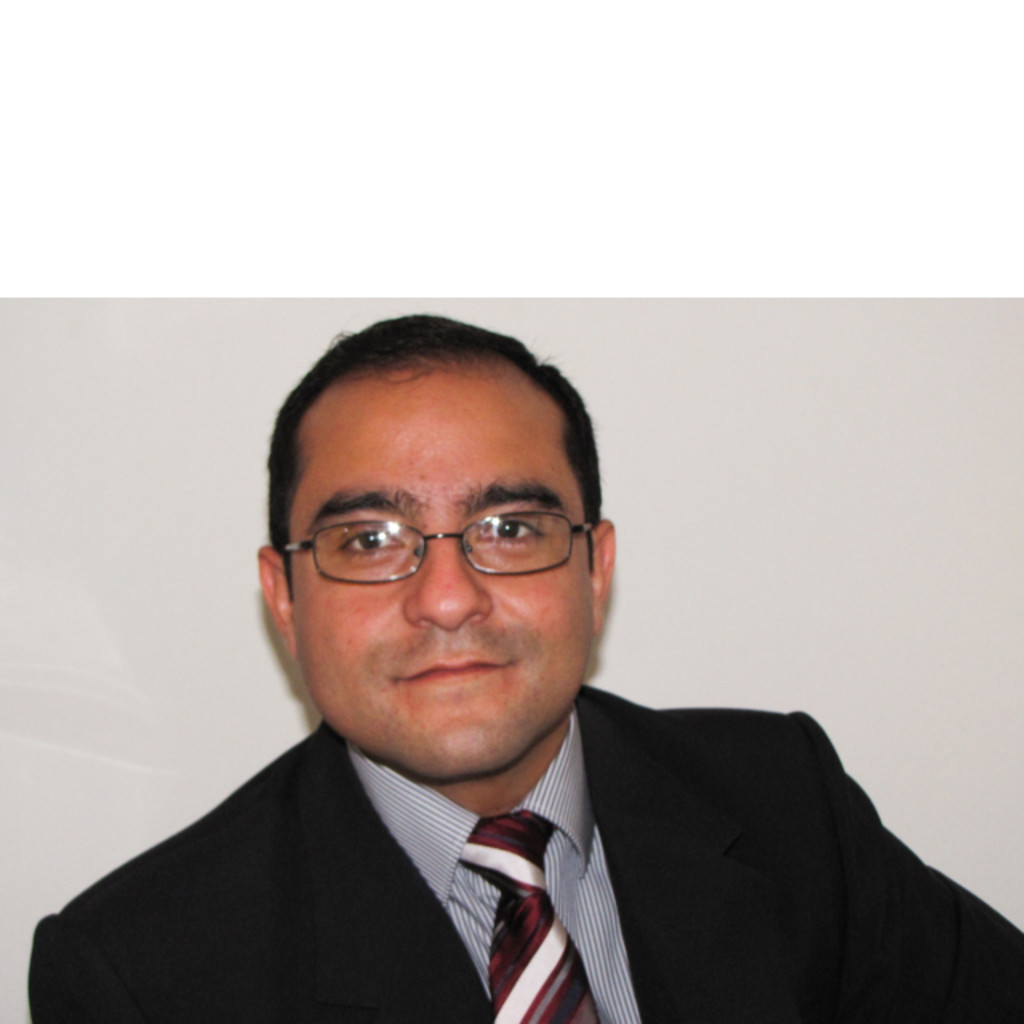 Rodolfo Andres Marin Rivera - Research Associate - Doctor candidate ...