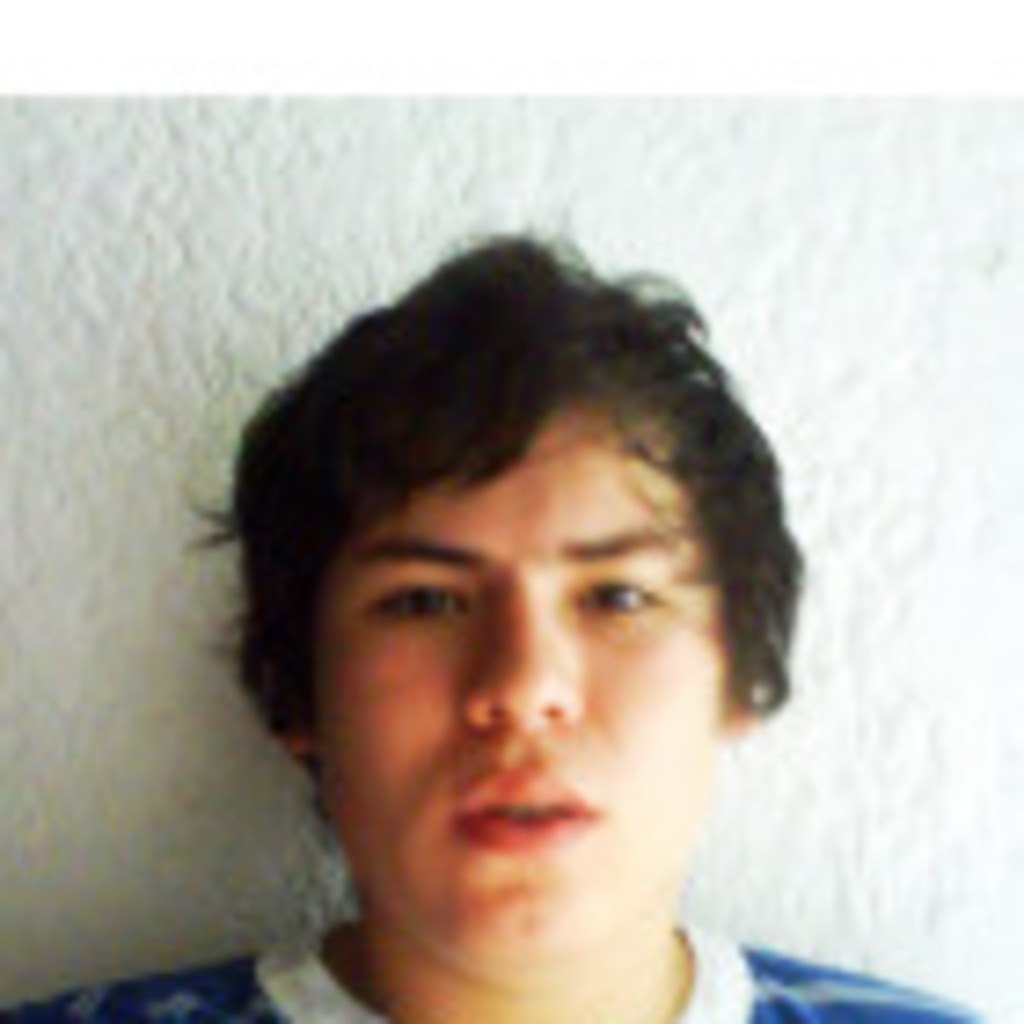 alejandro cardozo quintana - Diseñador Web - s-pc-alists | XING