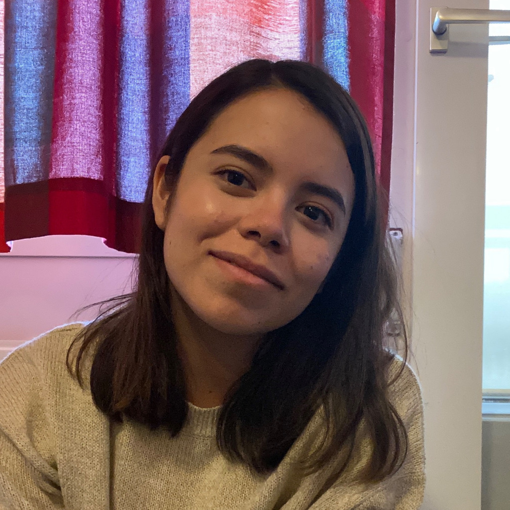 Carolina Ferman Carral - Research Assistant - University of Twente | XING