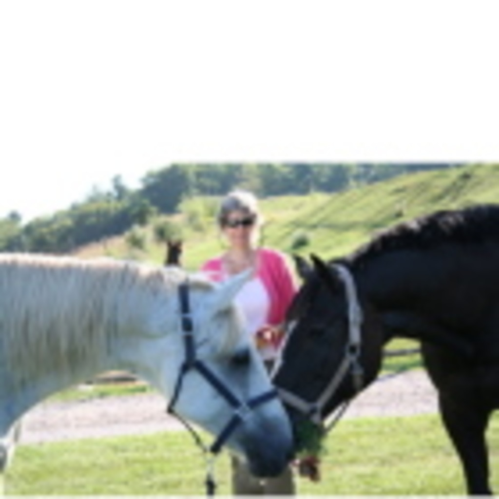 Christine Gagnon - Owner/Operator - Christine Riedel Gagnon | XING