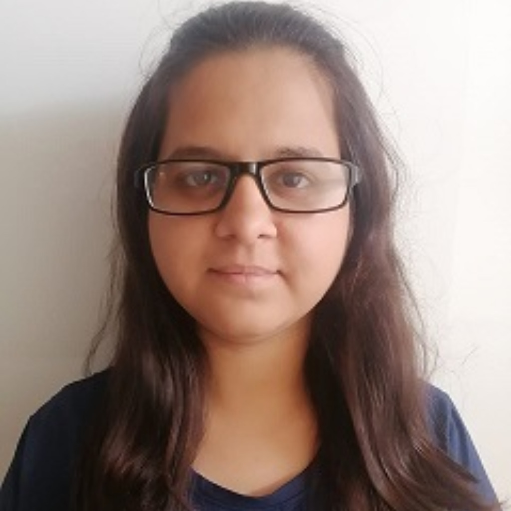 Krishna Dave - Masters in Artificial Intelligence - BTU-Cottbus | XING