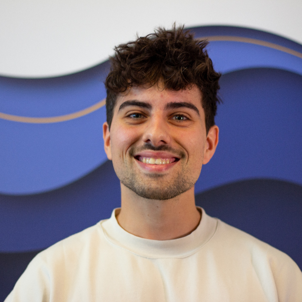 Dirk Widmann - Geschäftsführer - Flowsight GmbH | XING