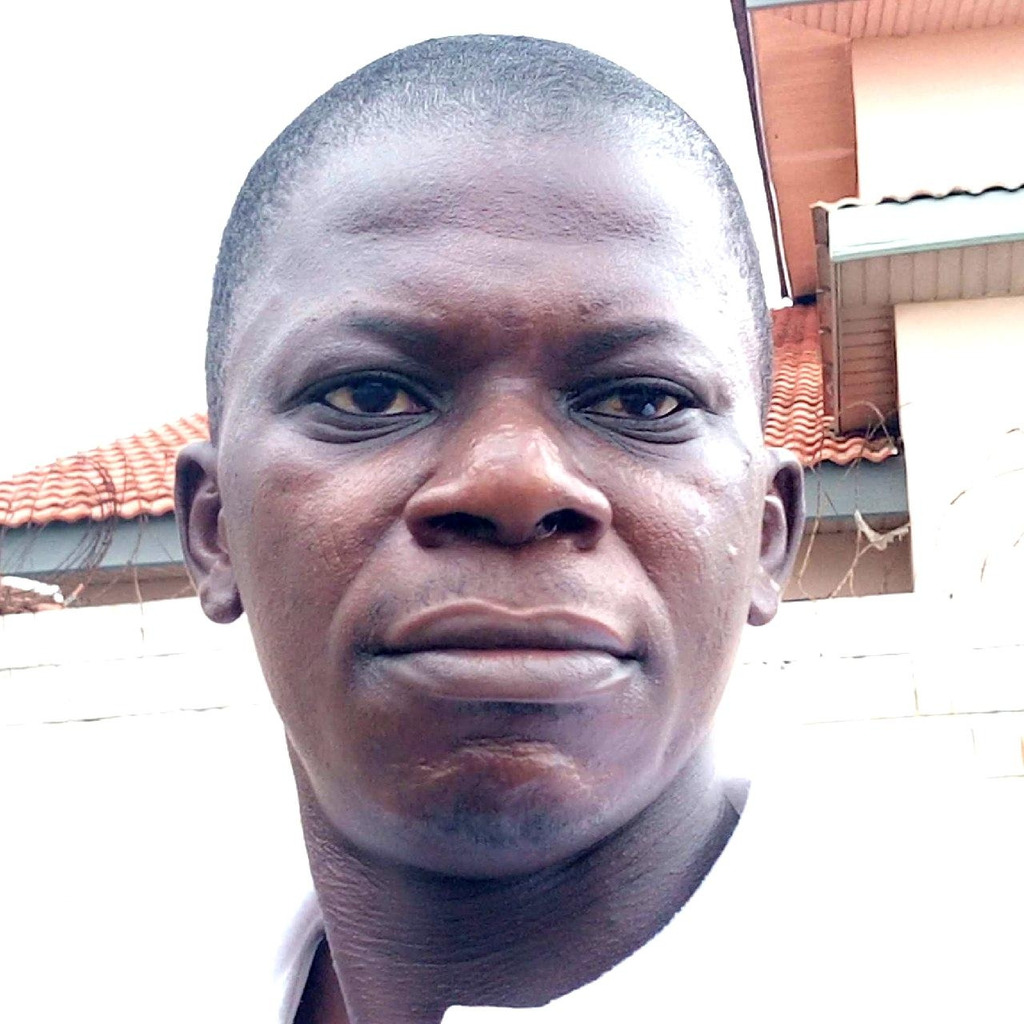 VINCENT ADOFO-OTCHERE - Project Officer - TransExpress Logistics Ltd | XING