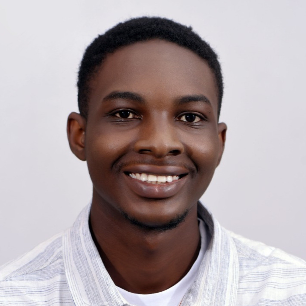 Ifeanyi Chiemeke - Fullstack Developer - Univirtual | XING