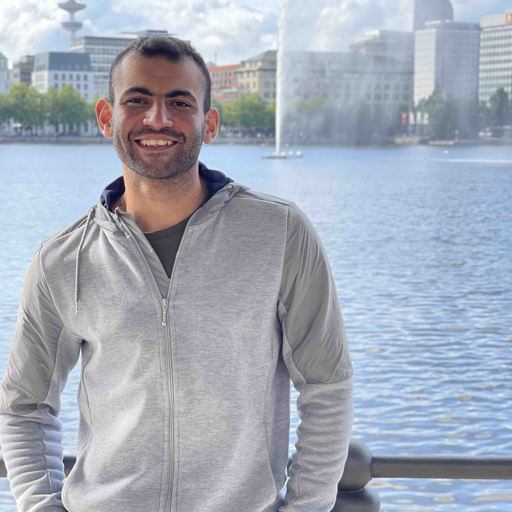 Ahmed Wehad - Project Engineer - Asy | XING